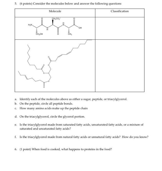 Solved 5. (6 points) Consider the molecules below and answer | Chegg.com