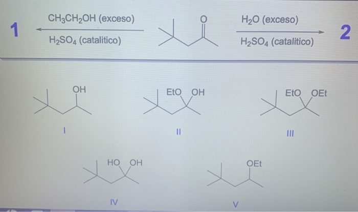 Solved CH3CH2OH (exceso) H20 (exceso) 1 we 2 H2SO4 | Chegg.com