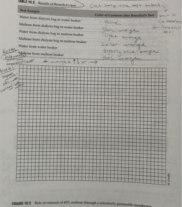 Solved A. Prepare a Result for the Osmosis Lab, Graph the | Chegg.com