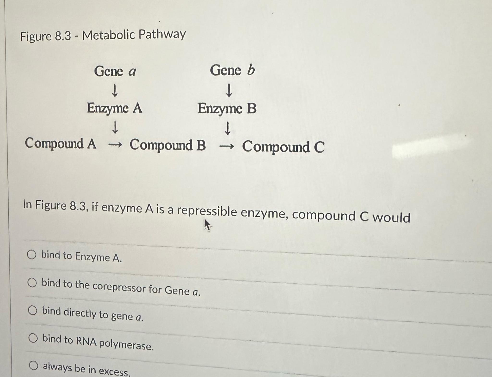 Solved Figure 8.3 - ﻿Metabolic PathwayIn Figure 8.3, ﻿if | Chegg.com