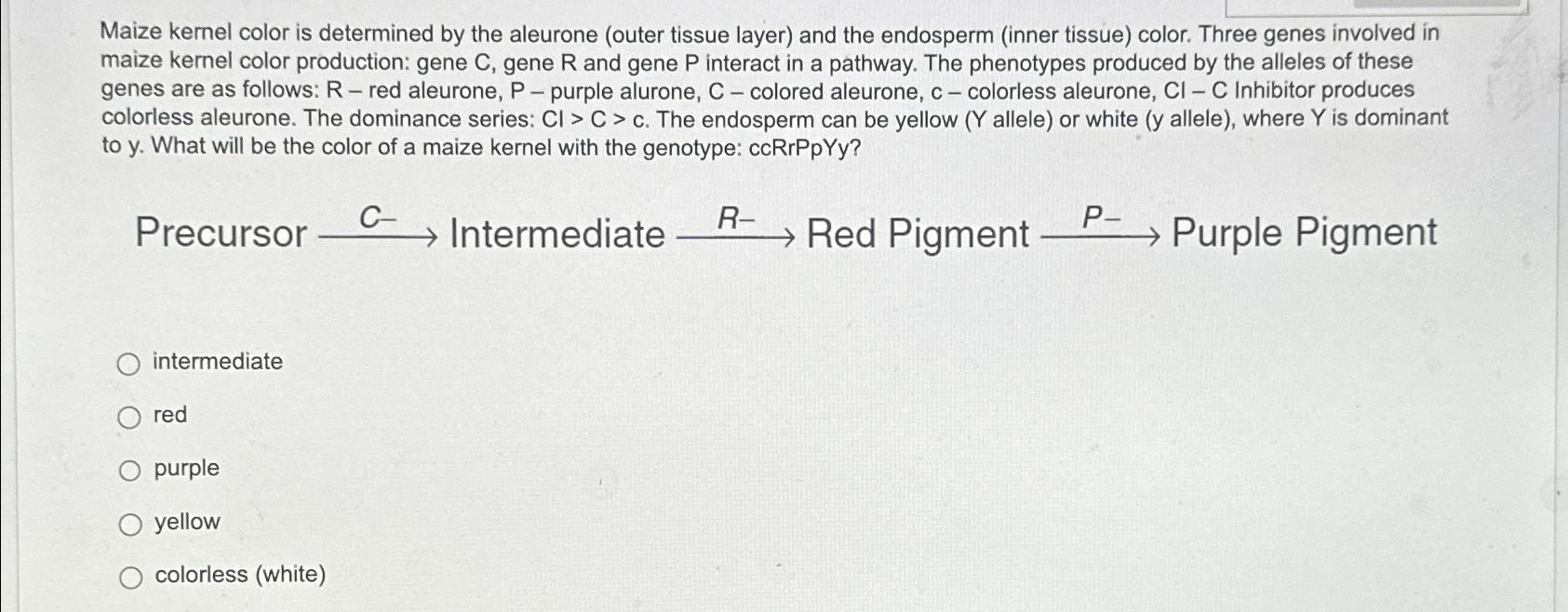 Solved Maize kernel color is determined by the aleurone | Chegg.com