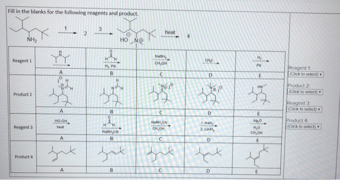 Solved Fill in the blanks for the following reagents and | Chegg.com