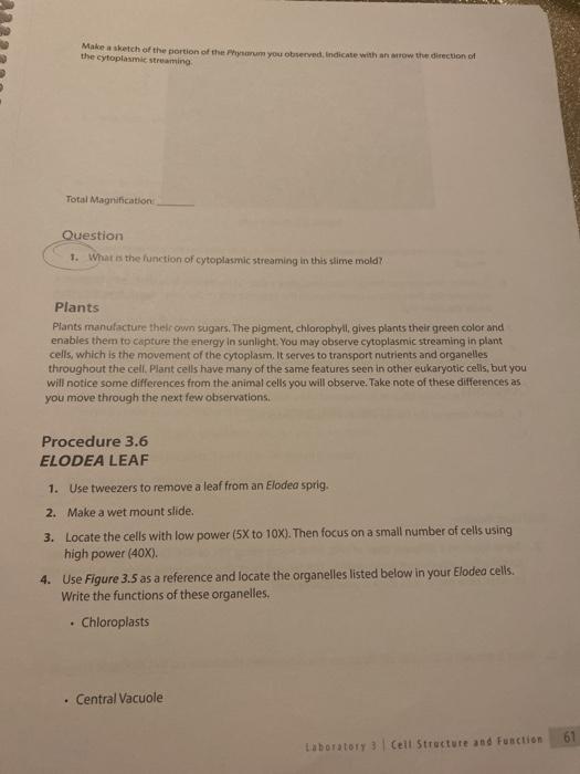 LABORATORY 3 CELL STRUCTURE AND FUNCTION Name: Date: | Chegg.com