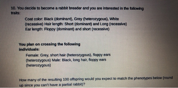 Solved 10. You decide to become a rabbit breeder and you are | Chegg.com