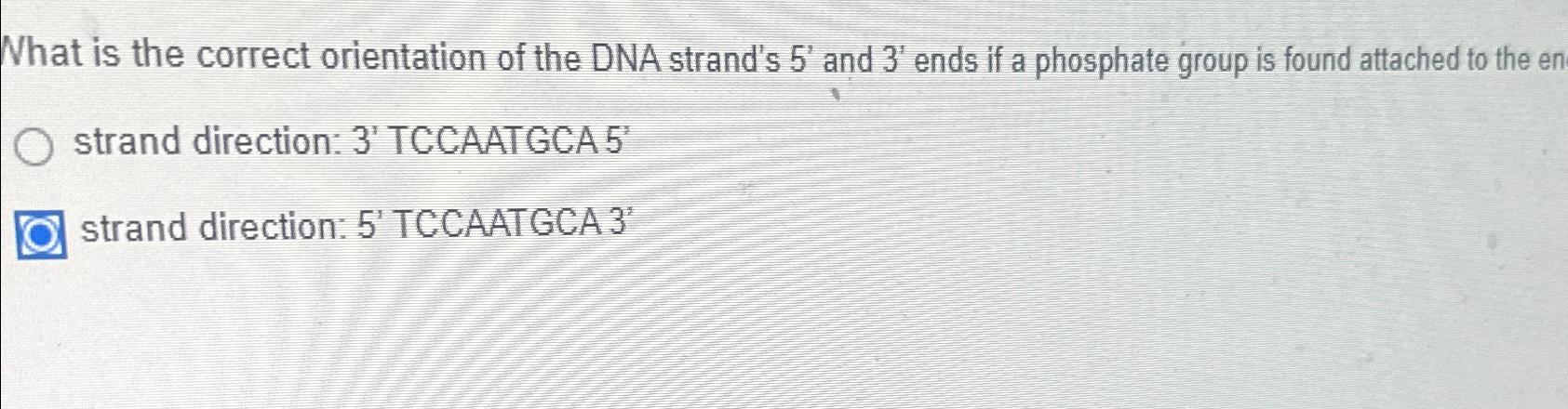 Solved What is the correct orientation of the DNA strand's | Chegg.com