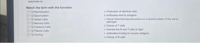 Solved Match the term with the function Neutralization | Chegg.com