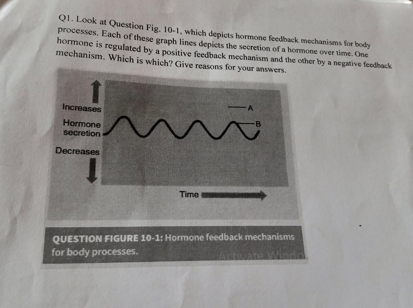 Positive Feedback Loop Graph