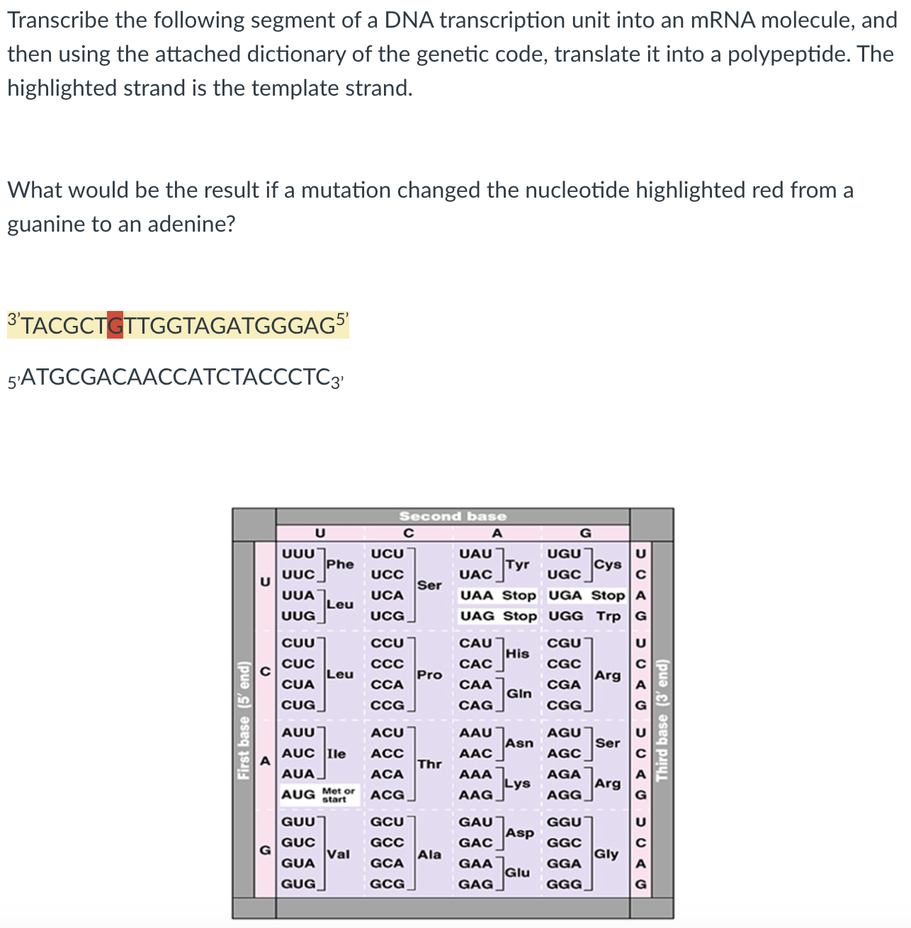 Solved (a) ﻿Silent mutation(b) ﻿Extensive missense | Chegg.com
