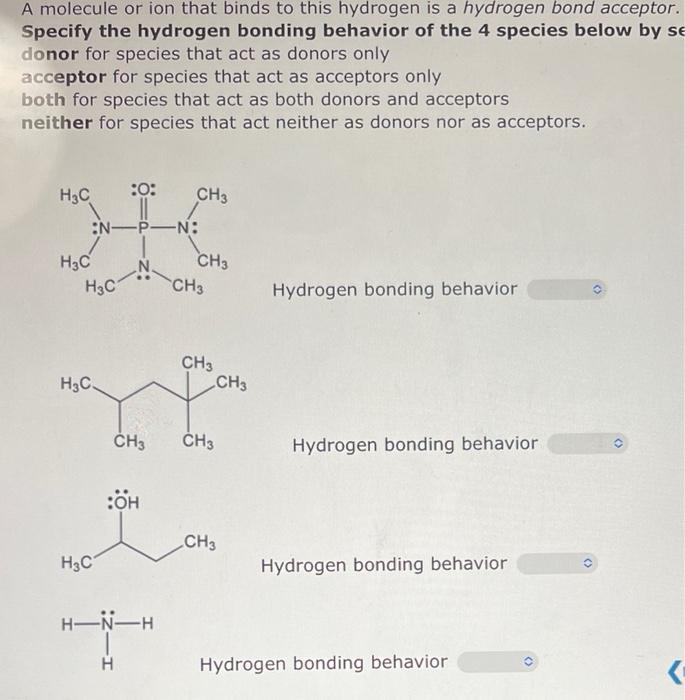 Solved A molecule or ion that binds to this hydrogen is a | Chegg.com