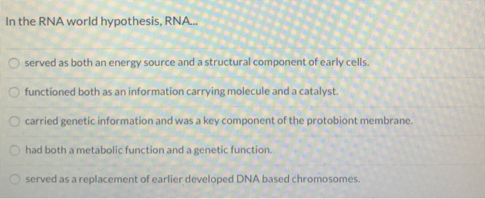 Solved In the RNA world hypothesis, RNA... served as both an | Chegg.com