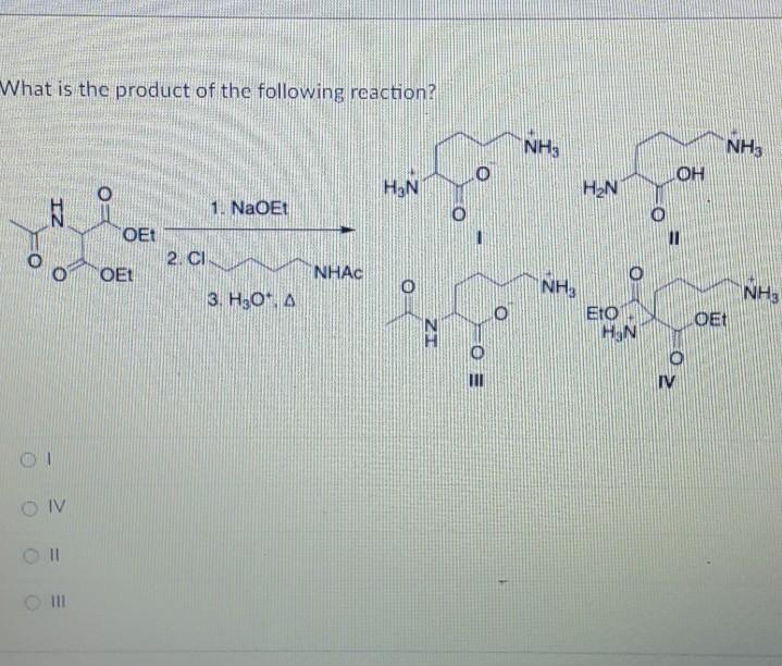 Solved What is the product of the following reaction? NH3 | Chegg.com