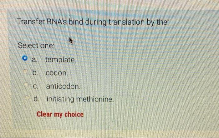 Solved Transfer RNA's bind during translation by the Select | Chegg.com