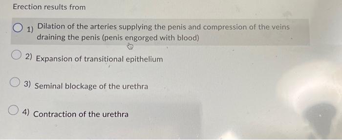 Solved Erection results from 1) Dilation of the arteries | Chegg.com