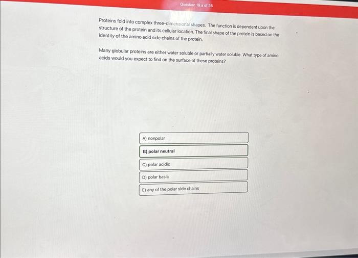 Solved Proteins fold into complex three-dirnansional shapes. | Chegg.com