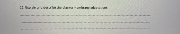 Solved 12. Explain and describe the plasma membrane | Chegg.com