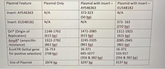 using the pJET1.2 vector map and the table, draw two | Chegg.com