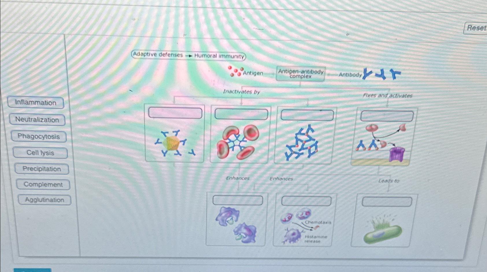 Solved Drag | Chegg.com