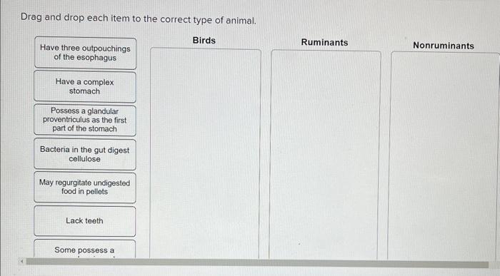 Solved Drag and drop each item to the correct type of | Chegg.com