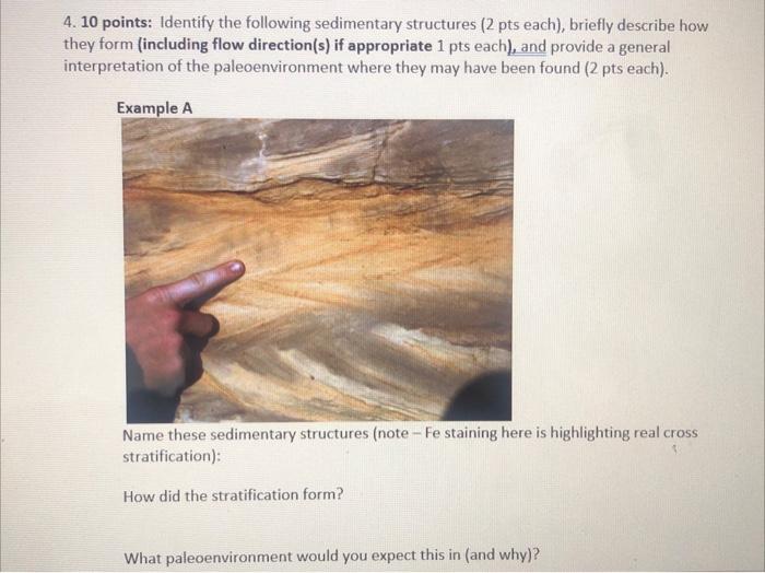 Solved 4. 10 points: Identify the following sedimentary | Chegg.com