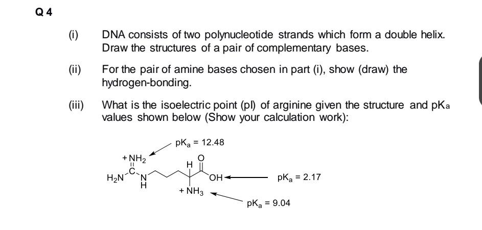Solved Q4 (i) (ii) DNA consists of two polynucleotide | Chegg.com