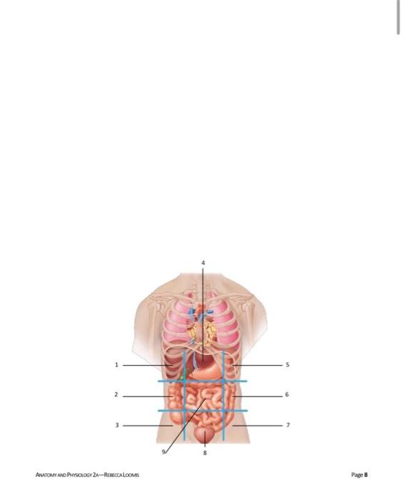 Solved LAB 1 MEDICAL TERMINOLOGY OBJECTIVE To use the | Chegg.com