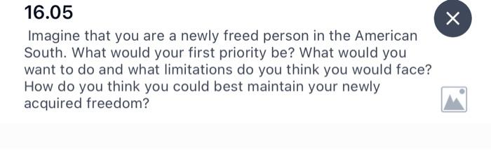 16.05 Imagine that you are a newly freed person in | Chegg.com