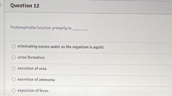 Solved > Question 12 Protonephridia function primarily in O | Chegg.com