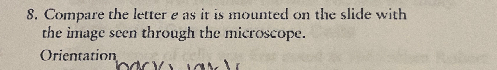 Solved Compare the letter e ﻿as it is mounted on the slide | Chegg.com