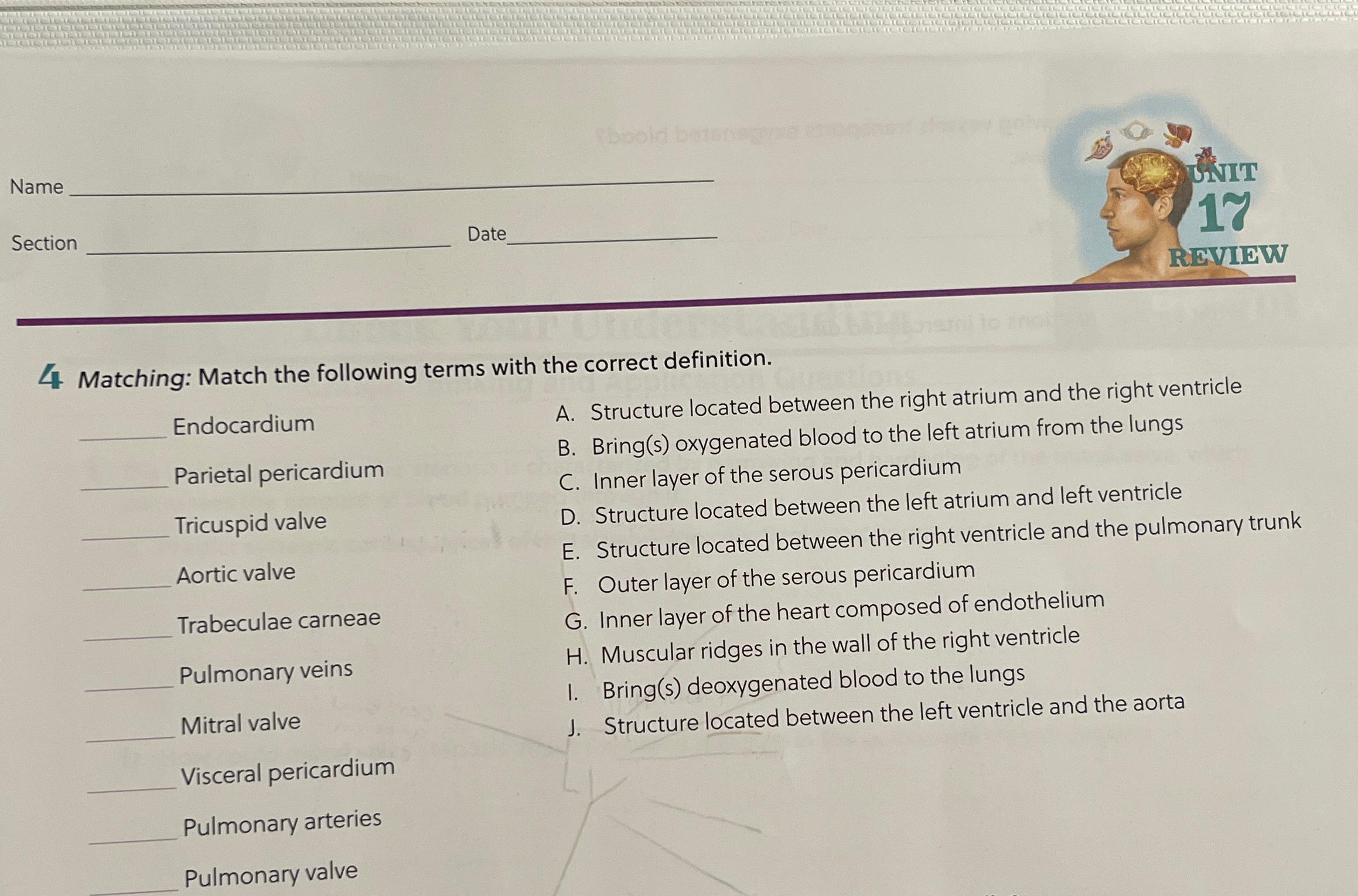 Solved NameSectionDate4 ﻿Matching: Match the following terms | Chegg.com