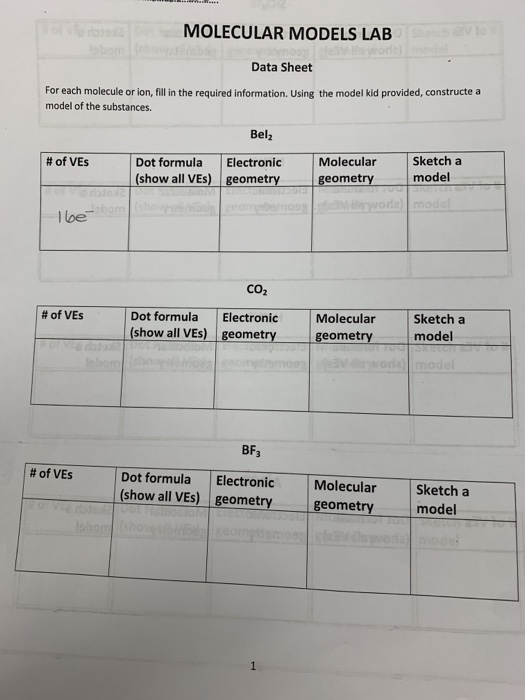 MOLECULAR MODELS LAB Data Sheet For each molecule or | Chegg.com