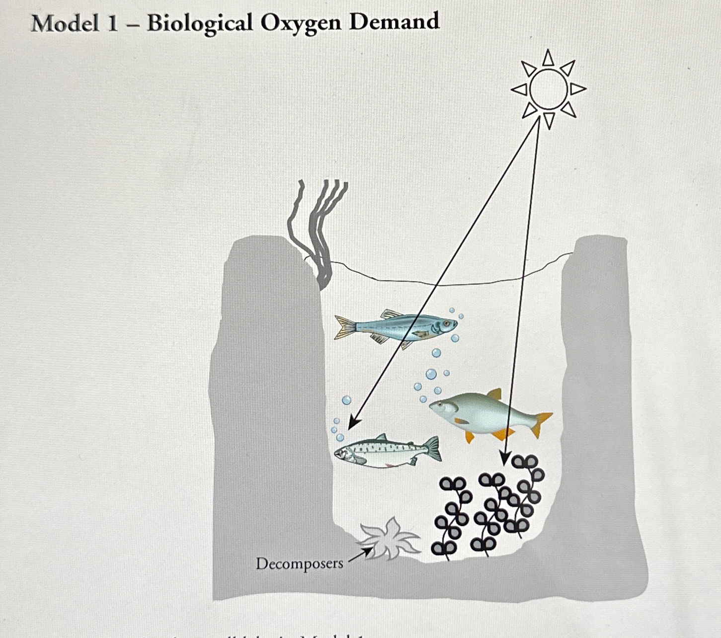 18. ﻿Healthy ecosystems cycle matter.a. ﻿Draw a | Chegg.com