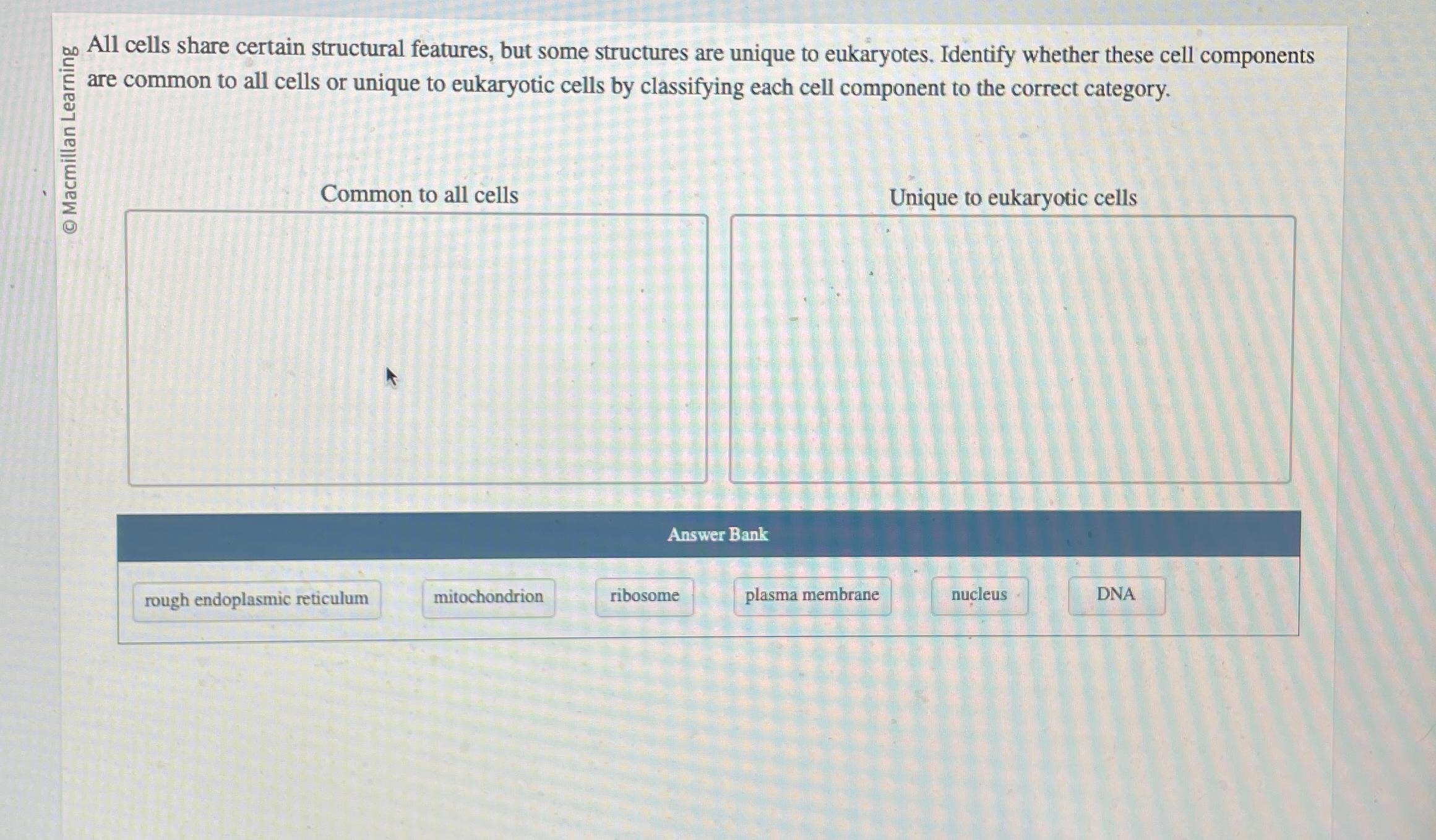 Solved All cells share certain structural features, but some | Chegg.com
