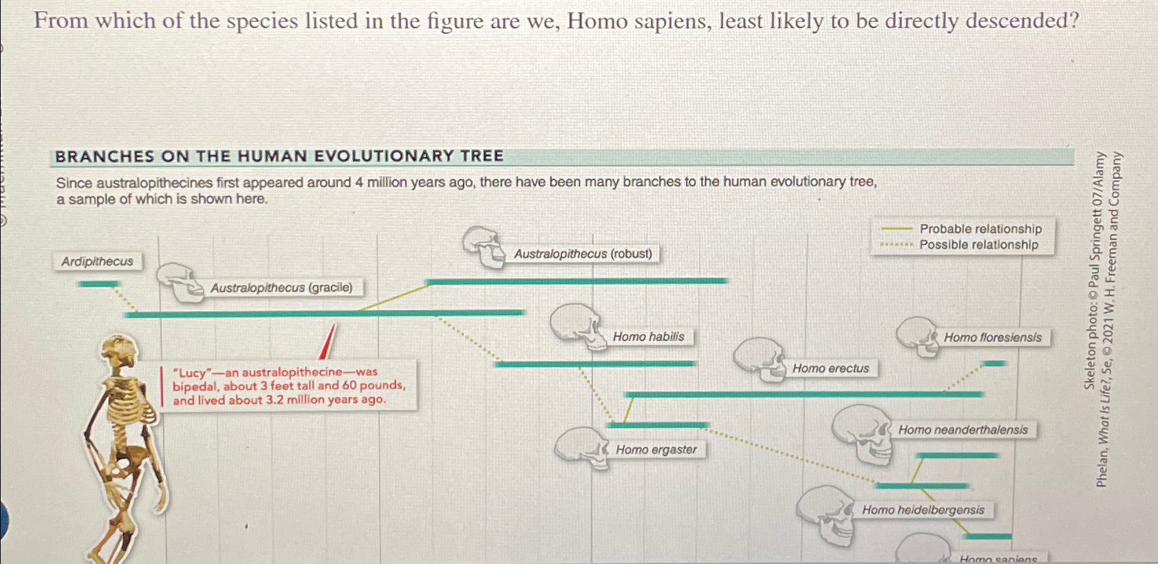 From which of the species listed in the figure are | Chegg.com