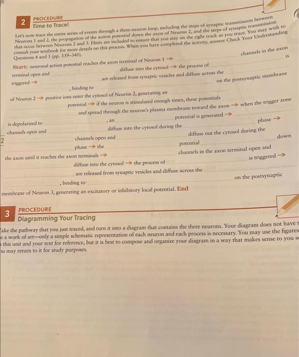 Solved 2 PROCEDURE Let's now tritec the citire series of | Chegg.com