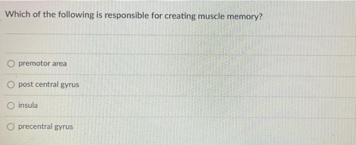 Solved Which of the following is responsible for creating | Chegg.com