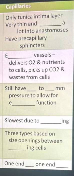 Solved Capillaries Only tunica intima layer Very thin and a | Chegg.com