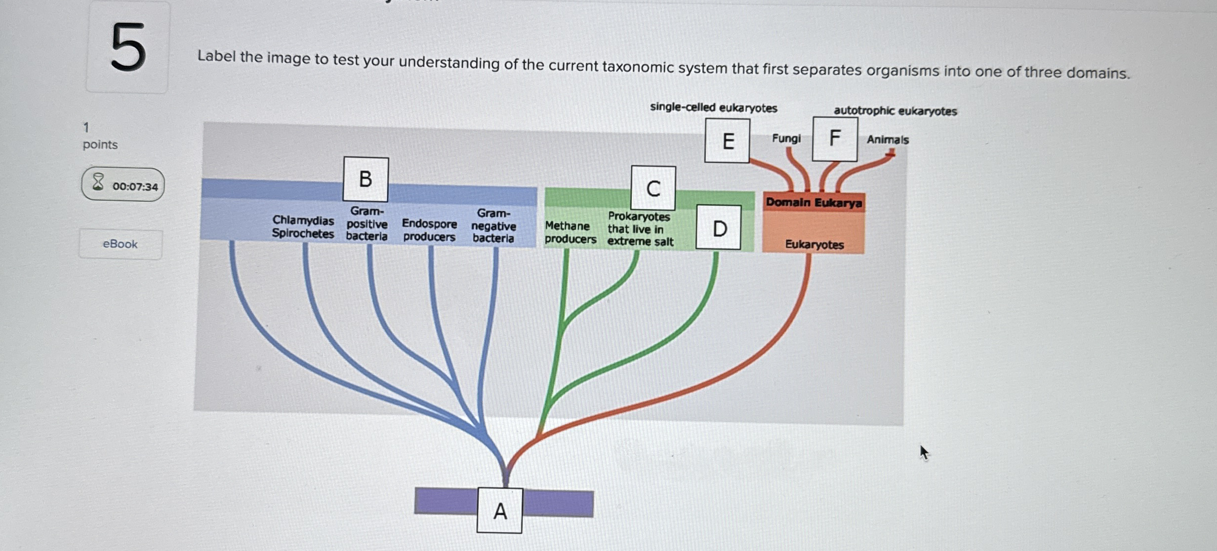 Solved 5Label the image to test your understanding of the | Chegg.com