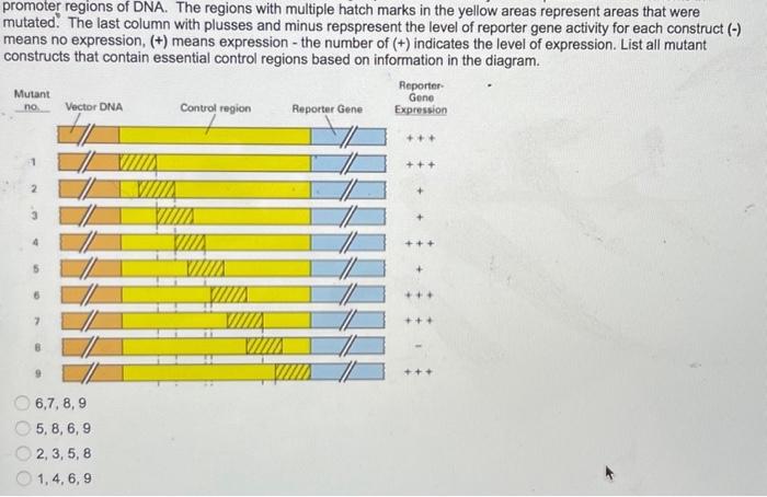 Solved promoter regions of DNA. The regions with multiple | Chegg.com