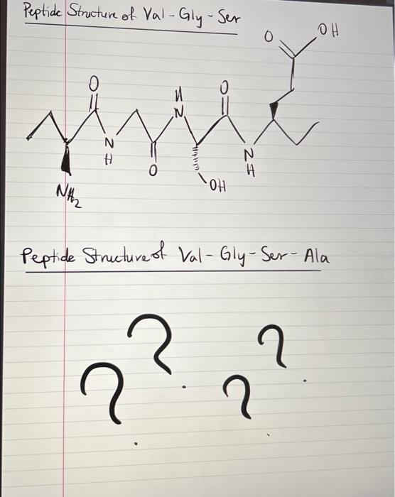 Solved Peptide Structure of Val-Gly-ser OH o A N sh N 0 GAL | Chegg.com