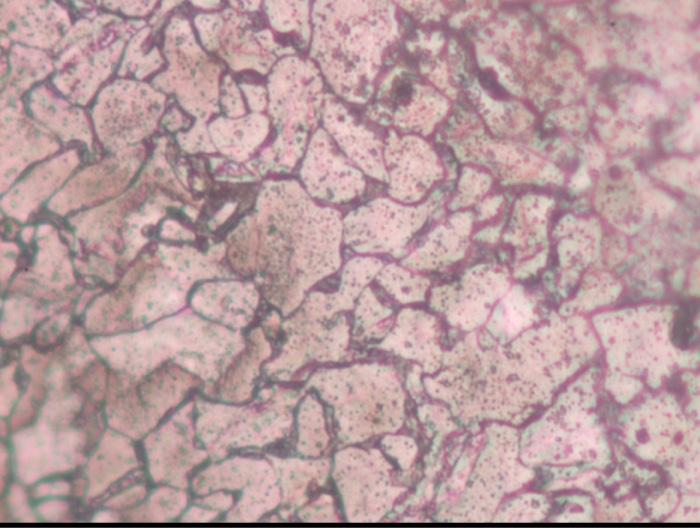 Solved Calculate the average grain size using intercept | Chegg.com