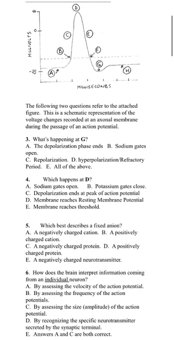 Solved 40 + MILLIVOLTS ® 25 MILLISECONDS The following two | Chegg.com