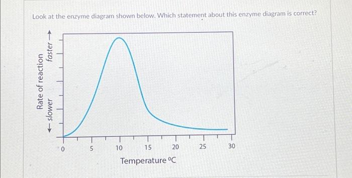 Solved Look at the enzyme diagram shown below. Which | Chegg.com