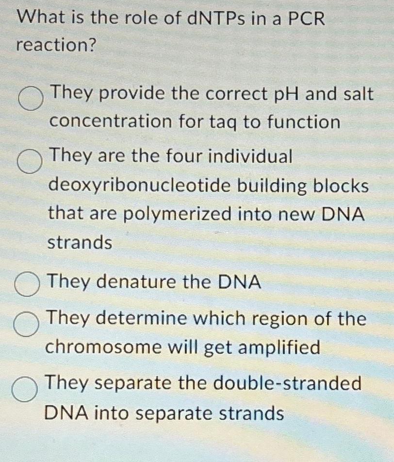 Solved What is the role of dNTPs in a PCR reaction?They | Chegg.com
