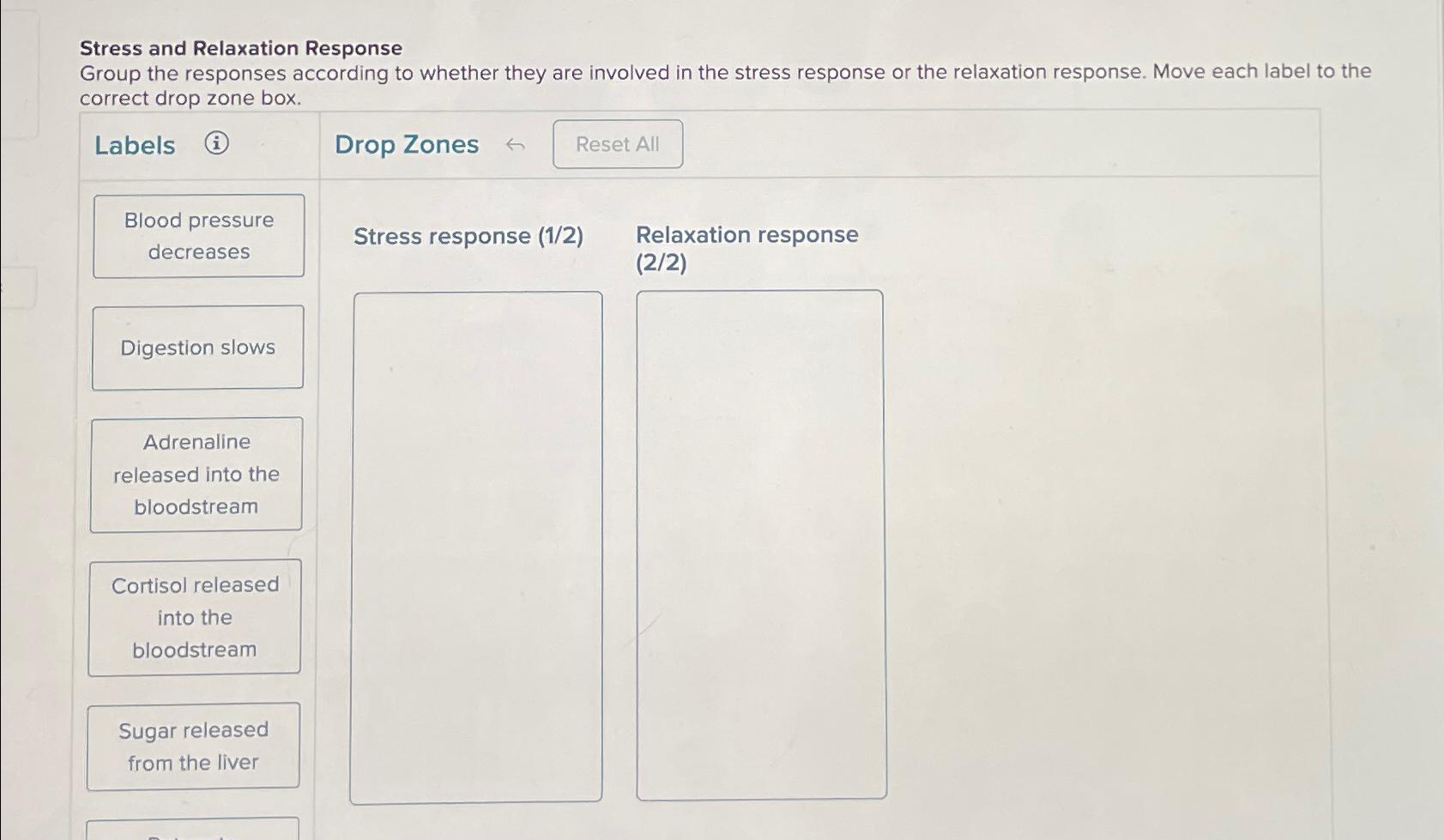 Solved Stress and Relaxation ResponseGroup the responses | Chegg.com
