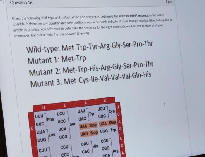 Solved Given The Following Wild Type And Mutant Amino Acid