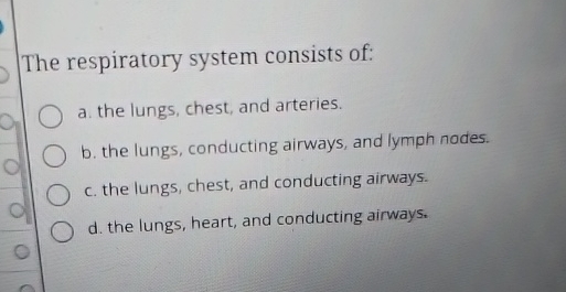 Solved The respiratory system consists of:a. ﻿the lungs, | Chegg.com
