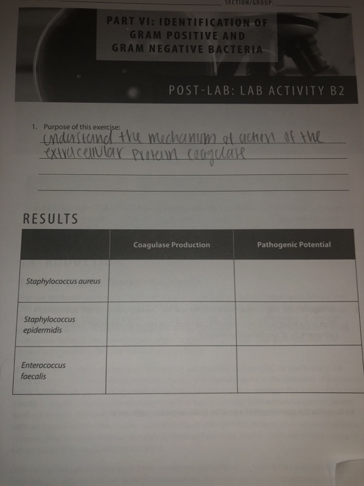 Solved TUNTUUT PART VI: IDENTIFICATION OF GRAM POSITIVE AND | Chegg.com