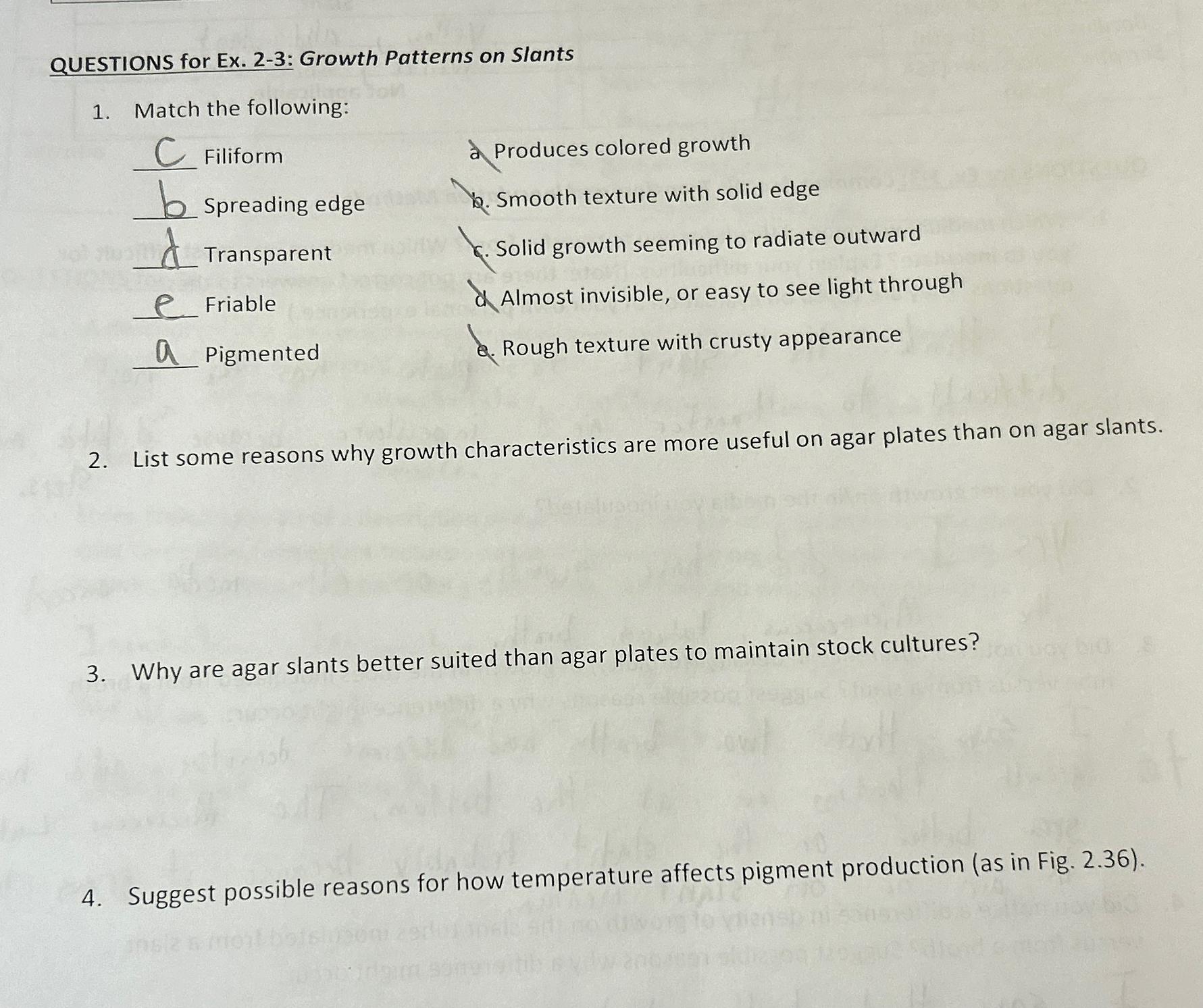 Solved QUESTIONS for Ex. 2-3: Growth Patterns on SlantsMatch | Chegg.com