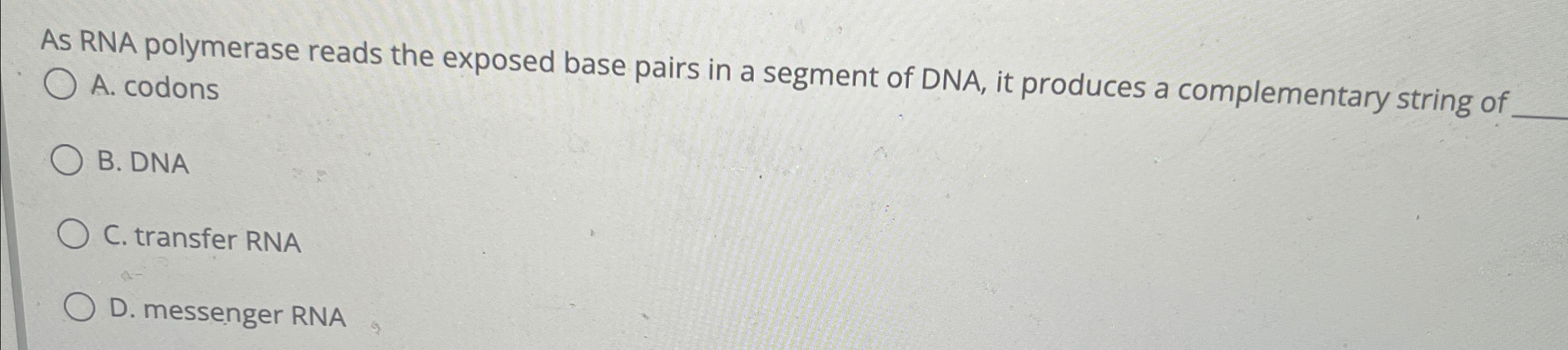 Solved As RNA polymerase reads the exposed base pairs in a | Chegg.com