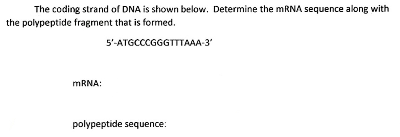 Solved Can u please explain the answer to this DNA CODING | Chegg.com